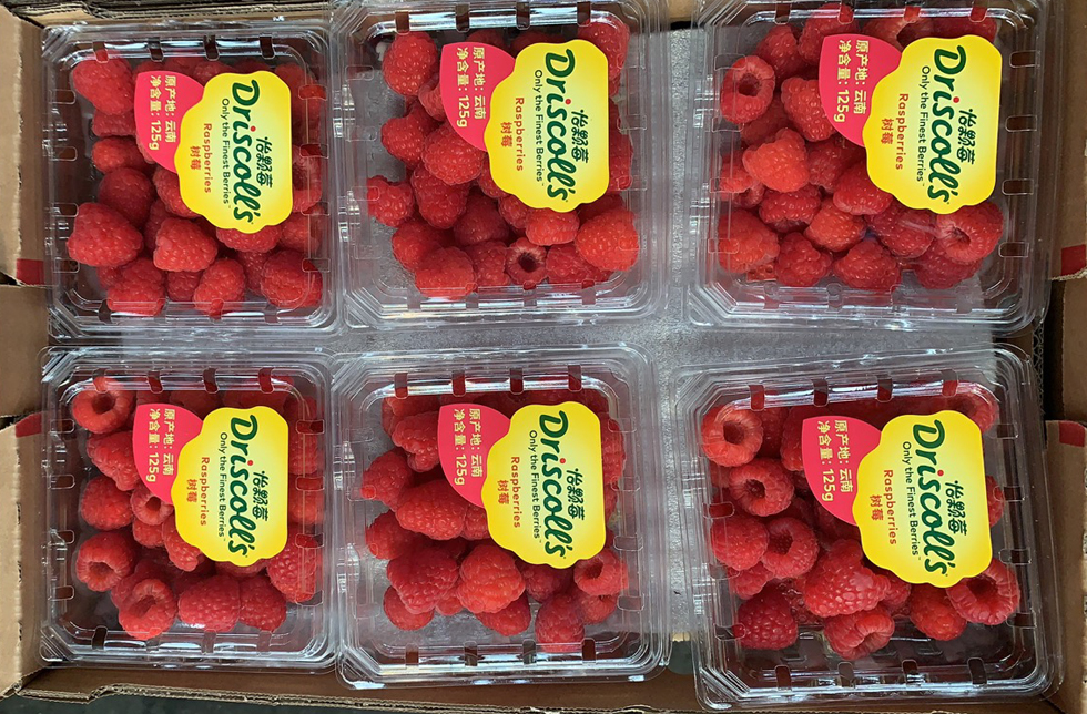 红树莓 125g*12盒_水 果 专 区_正义田头菜市欢迎您